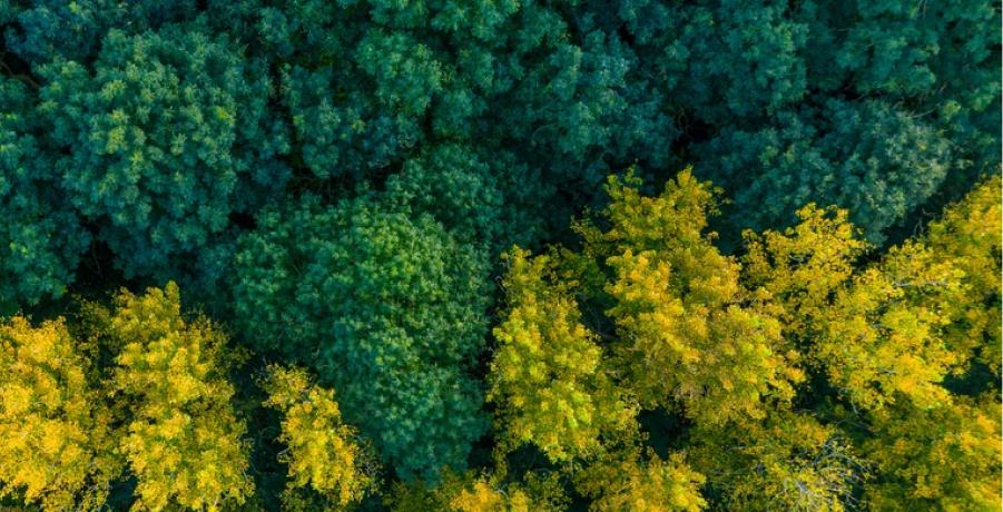 Safe venting and recompression of hydrogen | National Gas